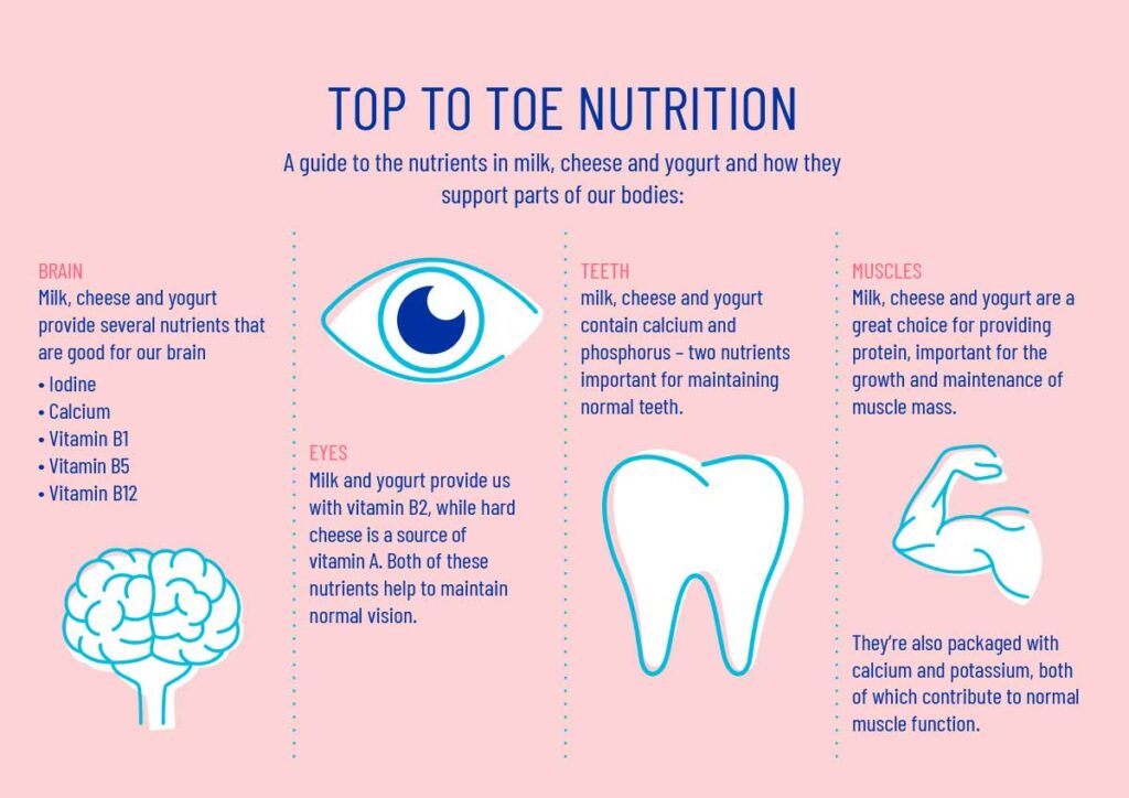 Top-to-toe nutrition | Dairy UK