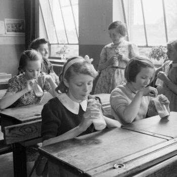 School Milk - Milk.co.uk